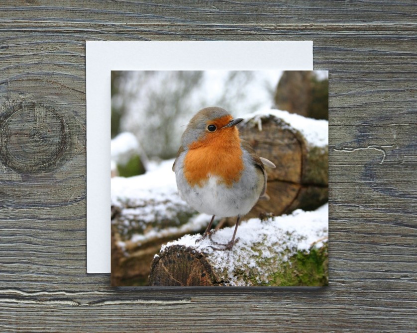Unique Christmas Cards - Putman and Robin's Shop
