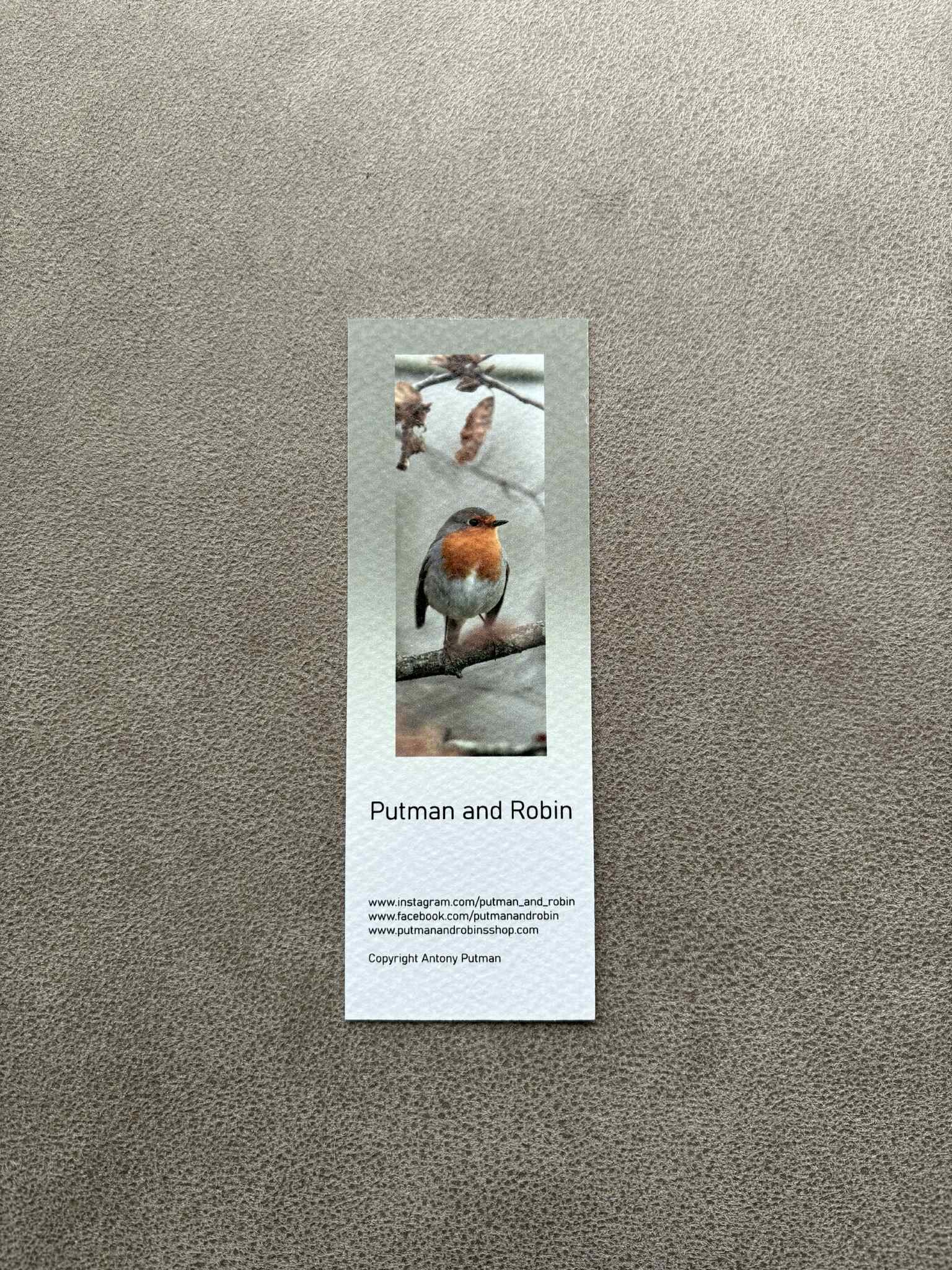 Bob the Robin in Autumnal Leaves Bookmark | Putman and Robin